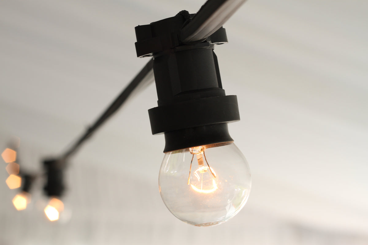 Festoon Lighting Canopy – Welcome to Select Events — formerly Ede Events